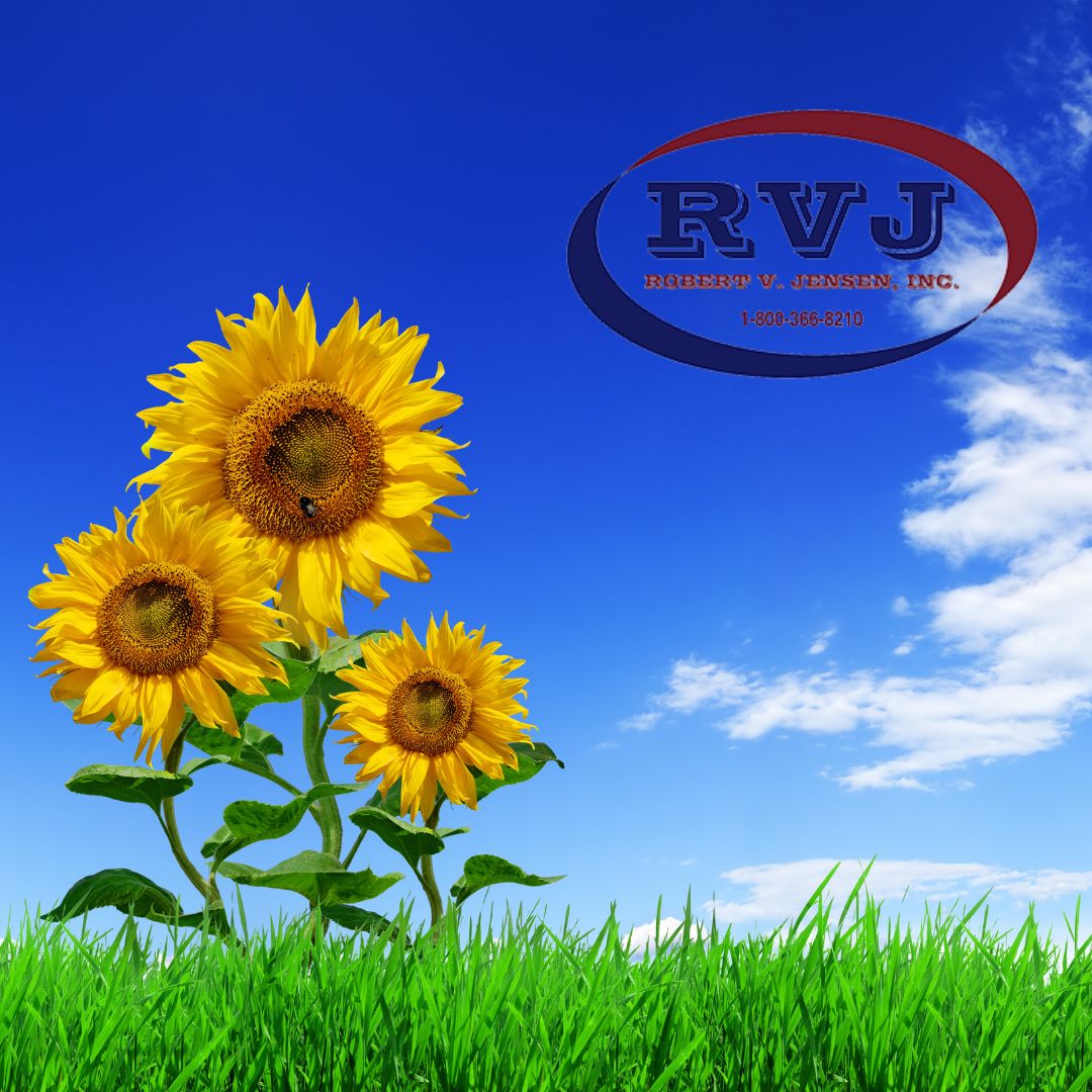 Learn About Easy Renewable Diesel Fuel Integration